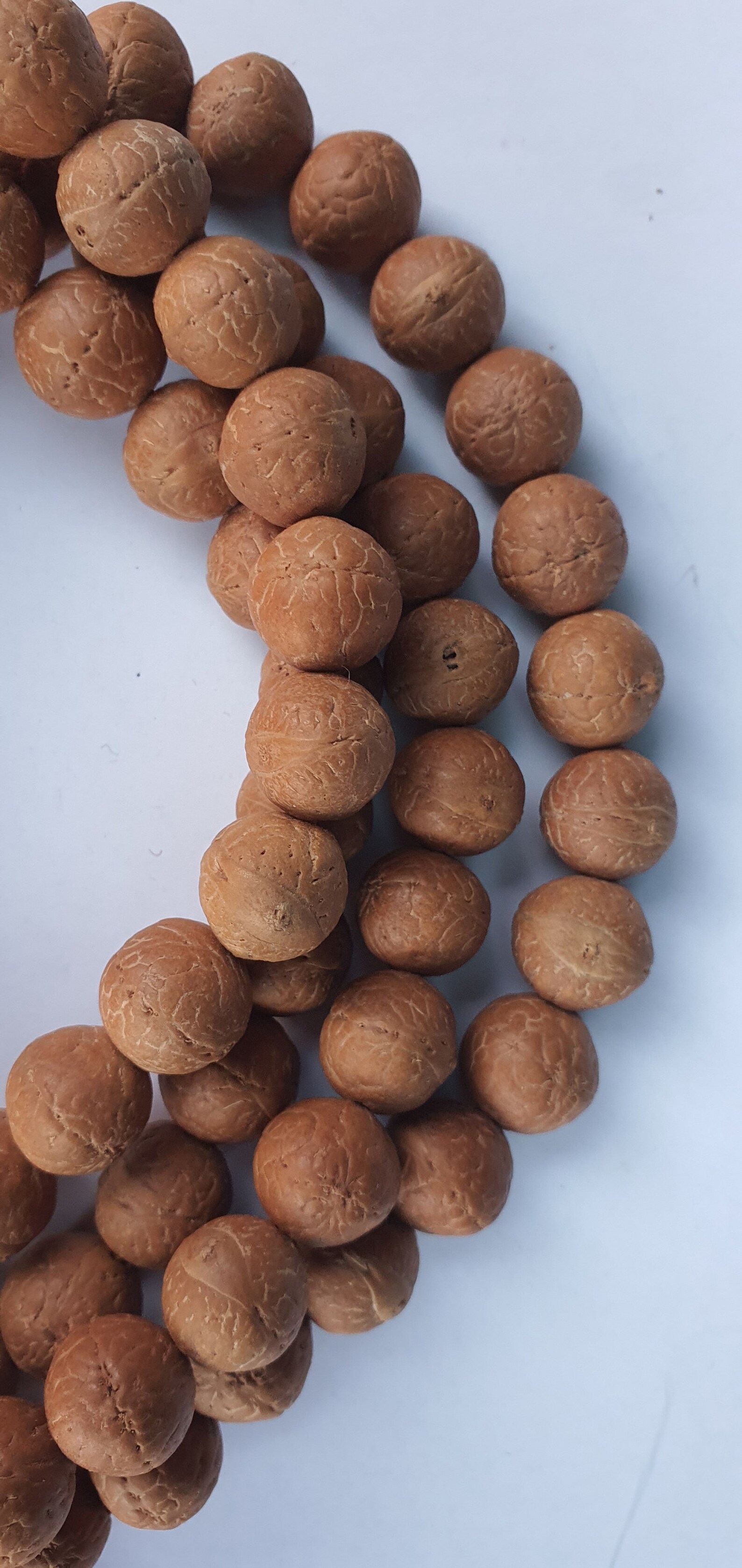 15-16mm Old Mud Colour Three Eye Natural Bodhi Seed Beads Buddha Chitta ...