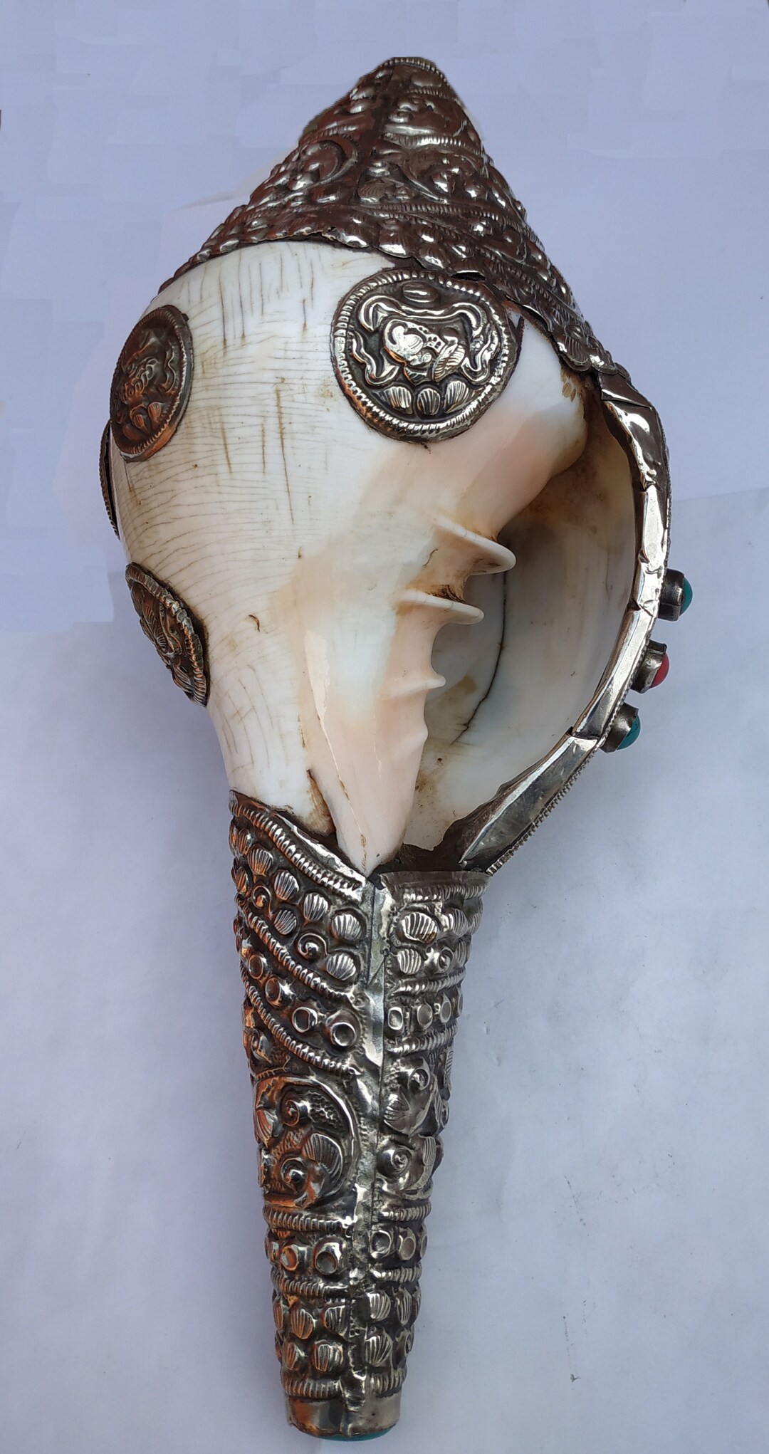 Blowable Large Conch Shell Astamnagala Engraved Buddhist Eight ...