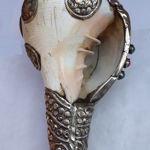 Blowable Large Conch Shell Astamnagala Engraved Buddhist Eight ...
