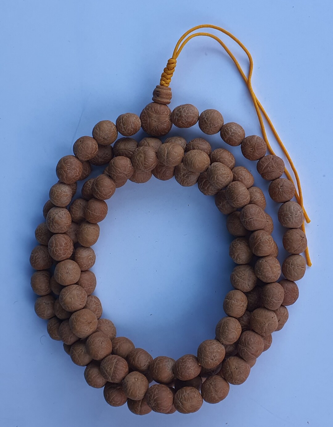 15-16mm Old Mud Colour Three Eye Natural Bodhi Seed Beads Buddha Chitta ...