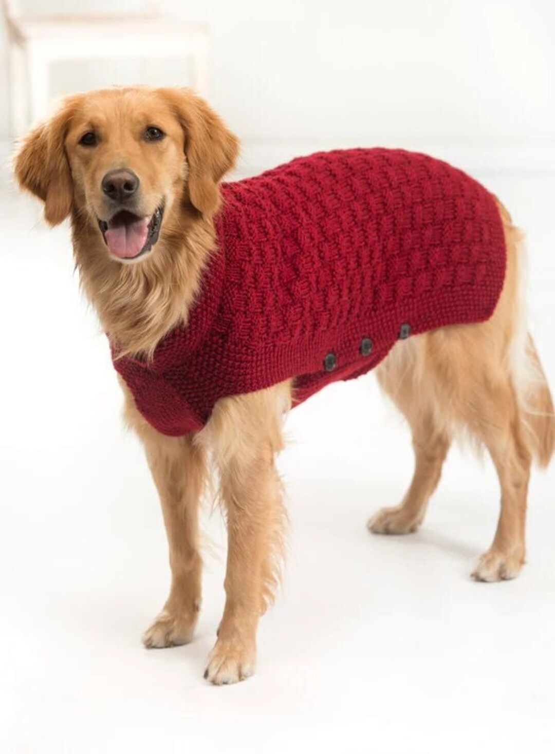 Small Dog Sweater Dog Christmas Sweater Custom Dog Sweater - Etsy