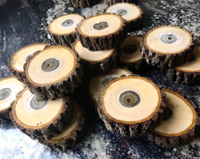 Butternut Walnut Wood Cookies, Wood Slices 5-6” Diameter. - Etsy
