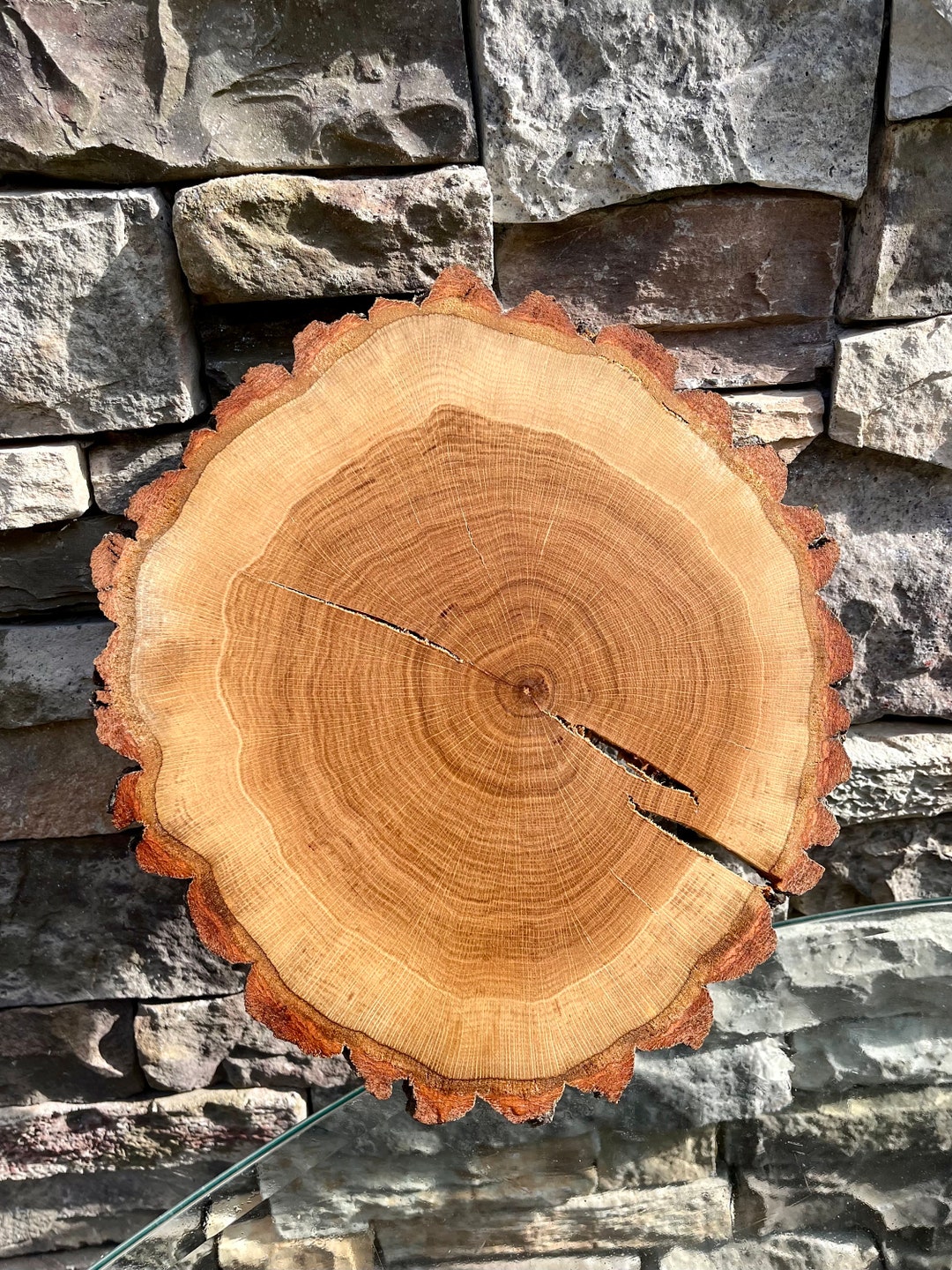 Chestnut Oak Wood Cookie Live Edge Slice 12 Diameter With - Etsy