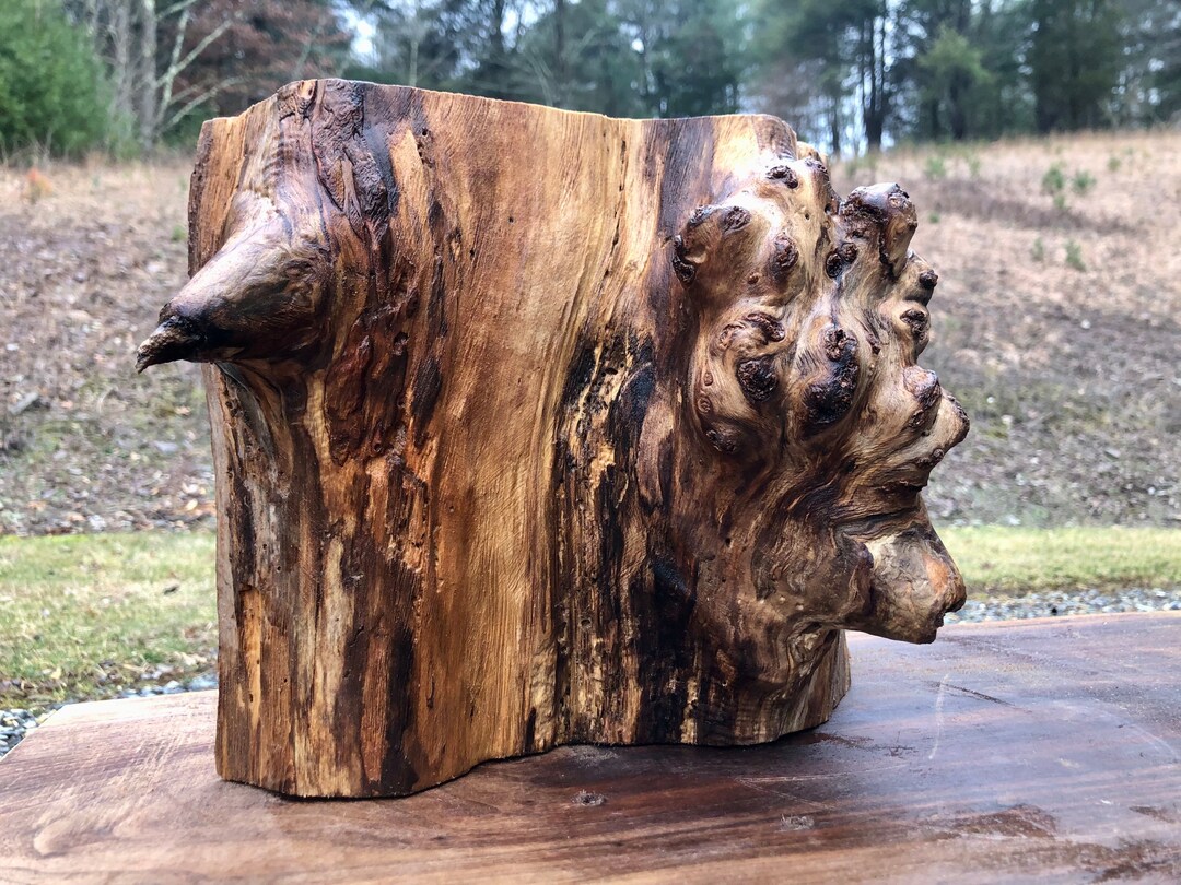 Wood Live Edge Natural Growth Tree Log Project Piece - Etsy