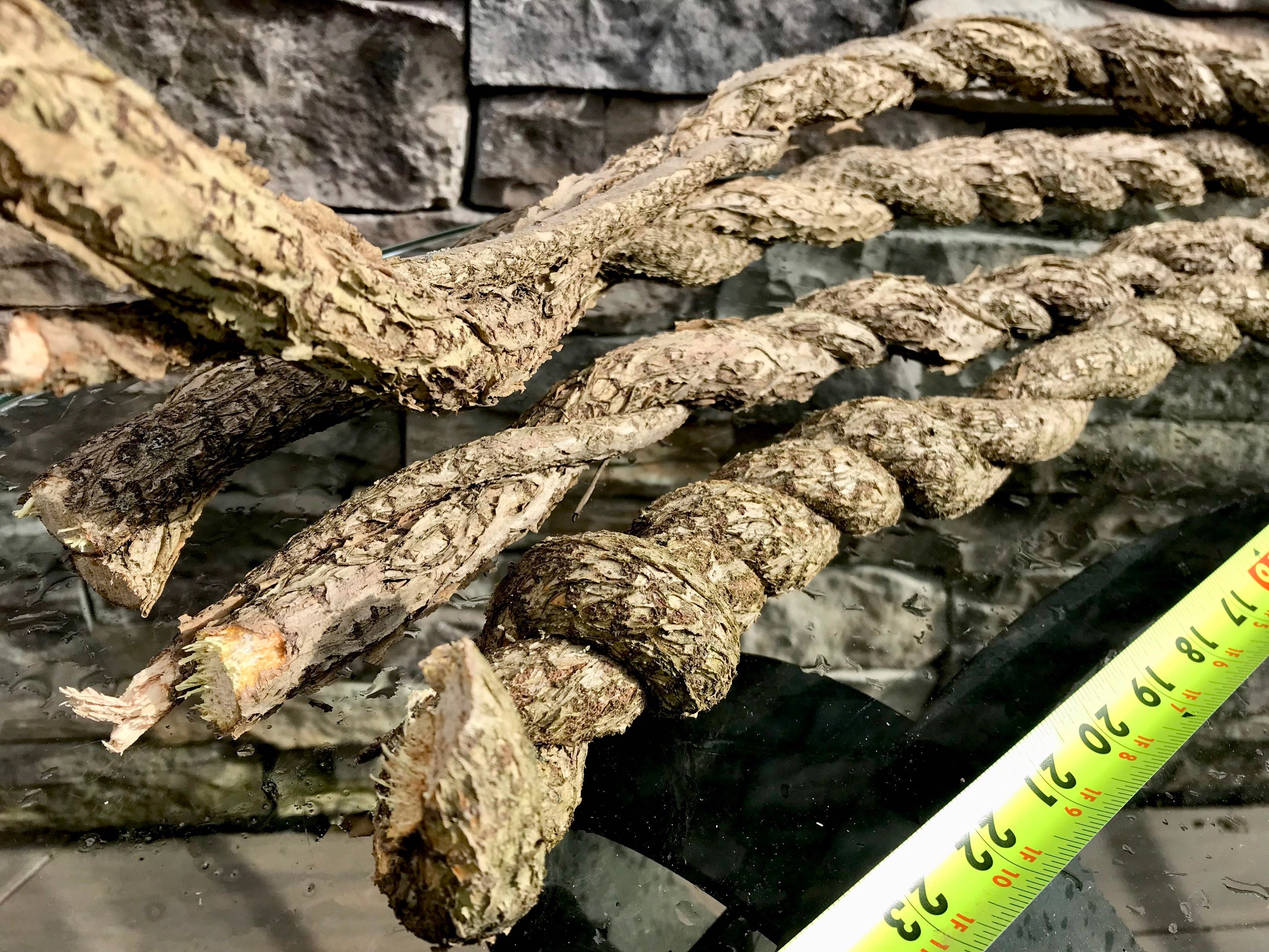 Four Twisted Braided Woody Vines Length Approx. 25 In - Etsy