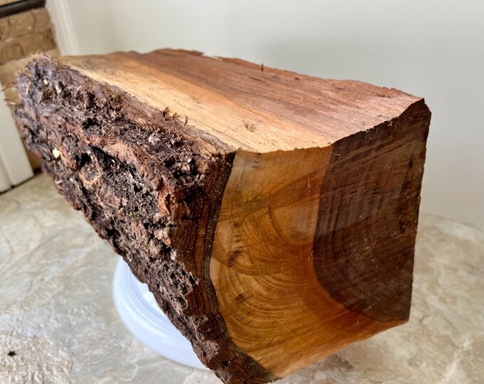 Black Walnut Wood Block Project Piece 10.5x5.5x4.5in - Etsy