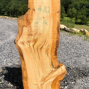 Eastern White Pine Live Edge Wood Slab 58” X 16-24” X 2" Thick, #82 - Etsy