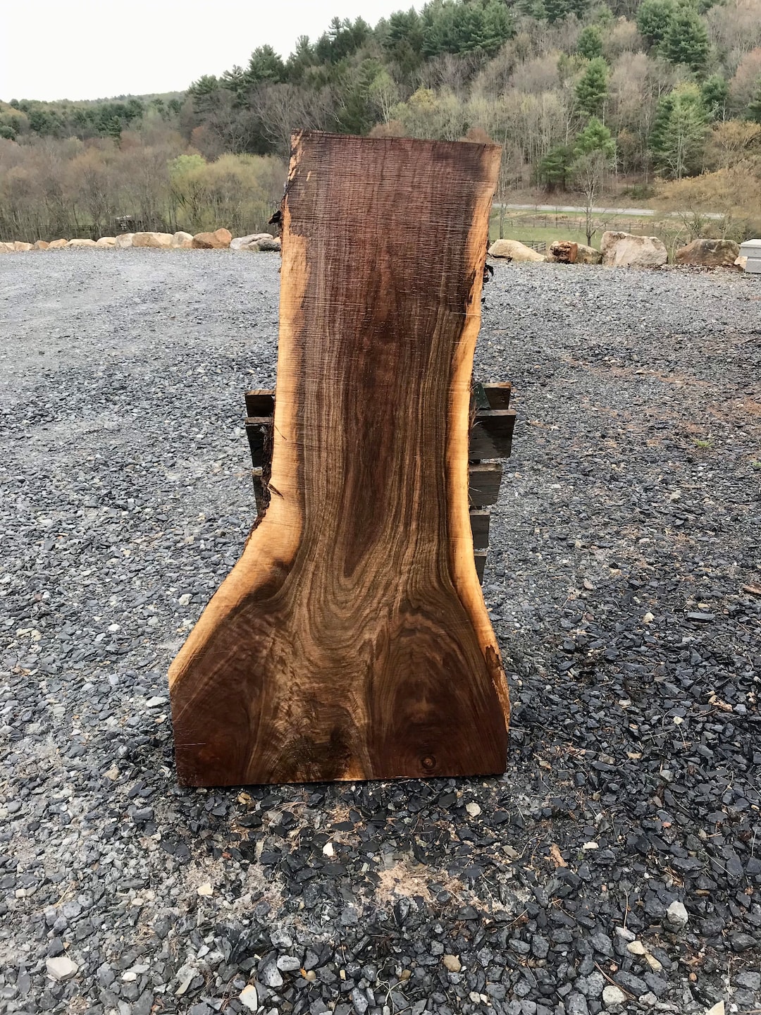 Black Walnut Live Edge Solid Wood Slab, 55 X 17.5 X 1 5/8 - Etsy