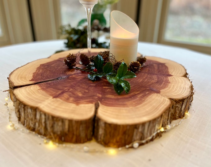 Butternut Walnut Wood Cookies, Wood Slices 5-6” Diameter. - Etsy