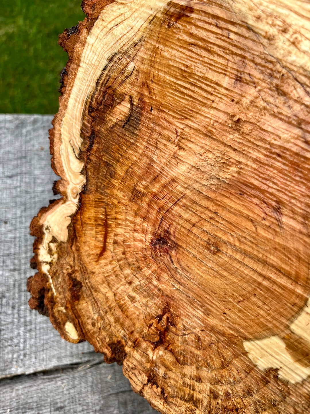 WILD CHERRY BURL 22lbs Rustic Décor Natural Wood Sculpture Natural Wood ...