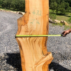 Eastern White Pine Live Edge Wood Slab 58” X 16-24” X 2" Thick, #82 - Etsy