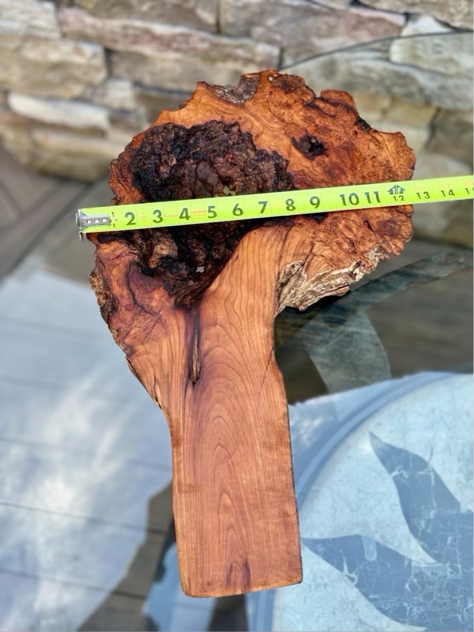 This Cherry Wood Burl Slice Has Aged for Years - Etsy
