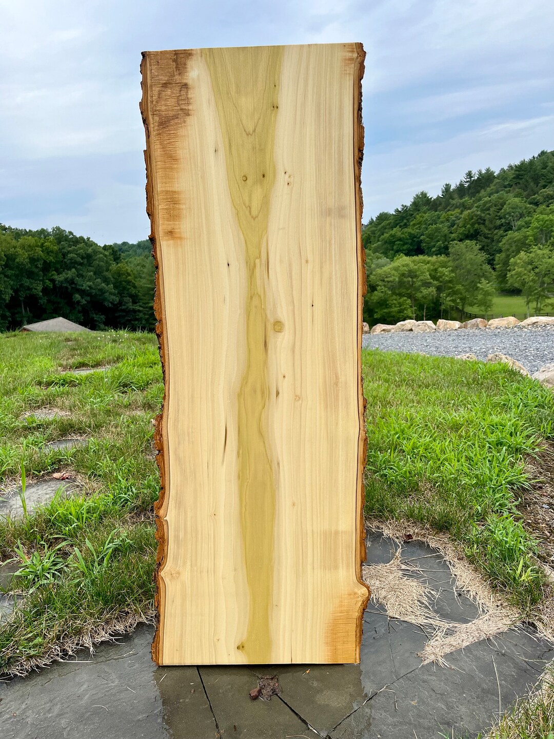 Live Edge Poplar Wood Slab: 47 X 13 X 1.3in, Multi-colored Grain - Etsy