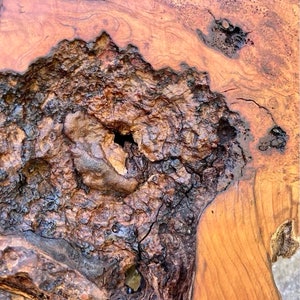 This Cherry Wood Burl Slice Has Aged for Years! - Etsy