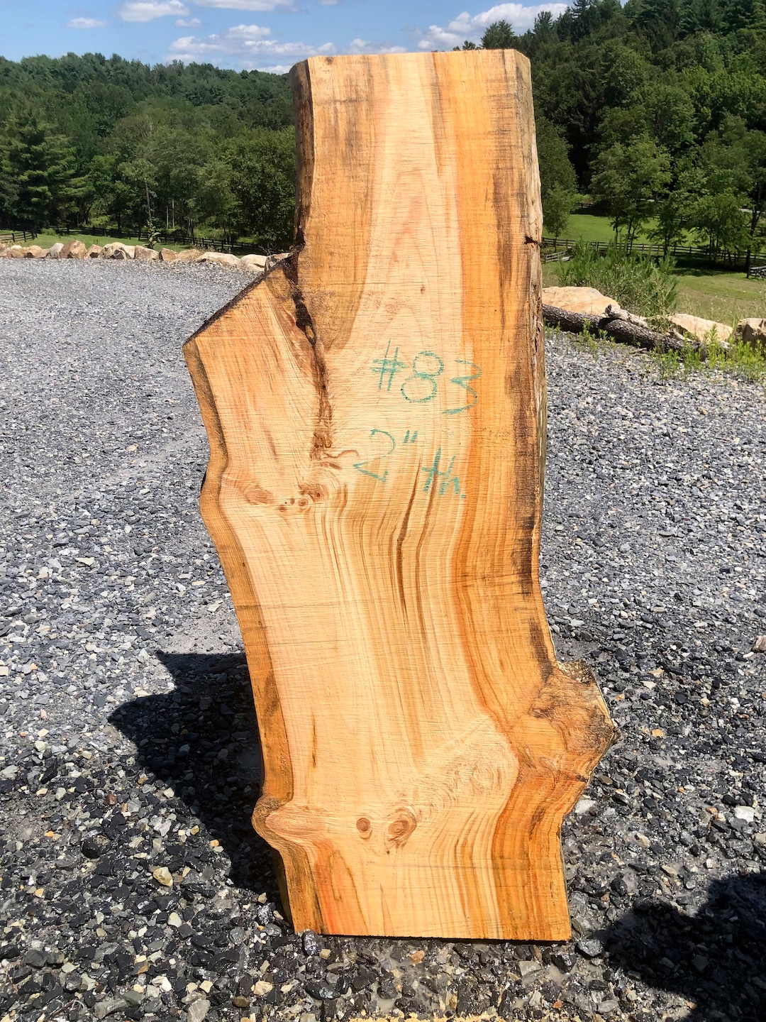 Eastern White Pine Live Edge Wood Slab 58” X 13-23” X 2" Thick, #83 - Etsy