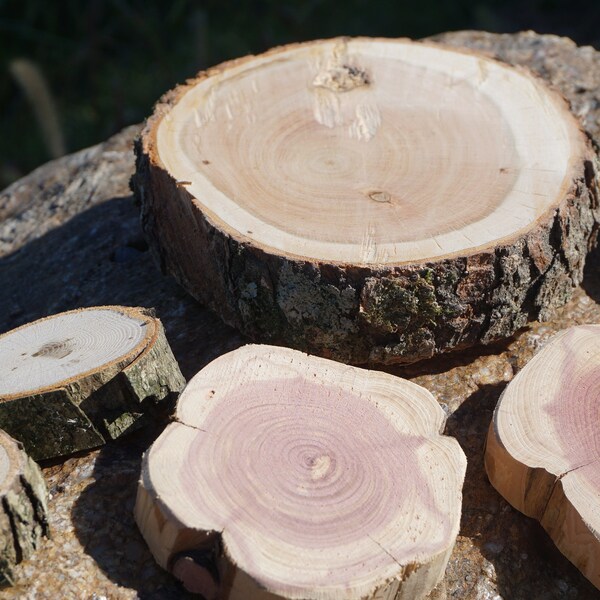 Wood Cookie Set - Etsy