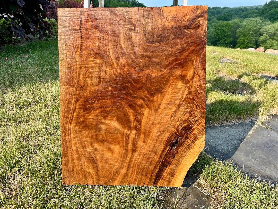 Black Walnut Live Edge Slab A4, Unique Shape, Vertical Log Slice - Etsy