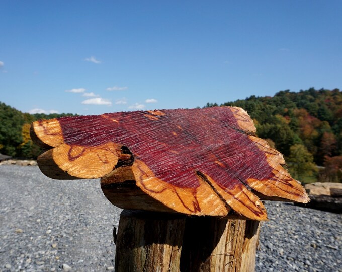 Cedar Wedge Shape Piece, Rough Cut, Live Edge, Large Piece - Etsy