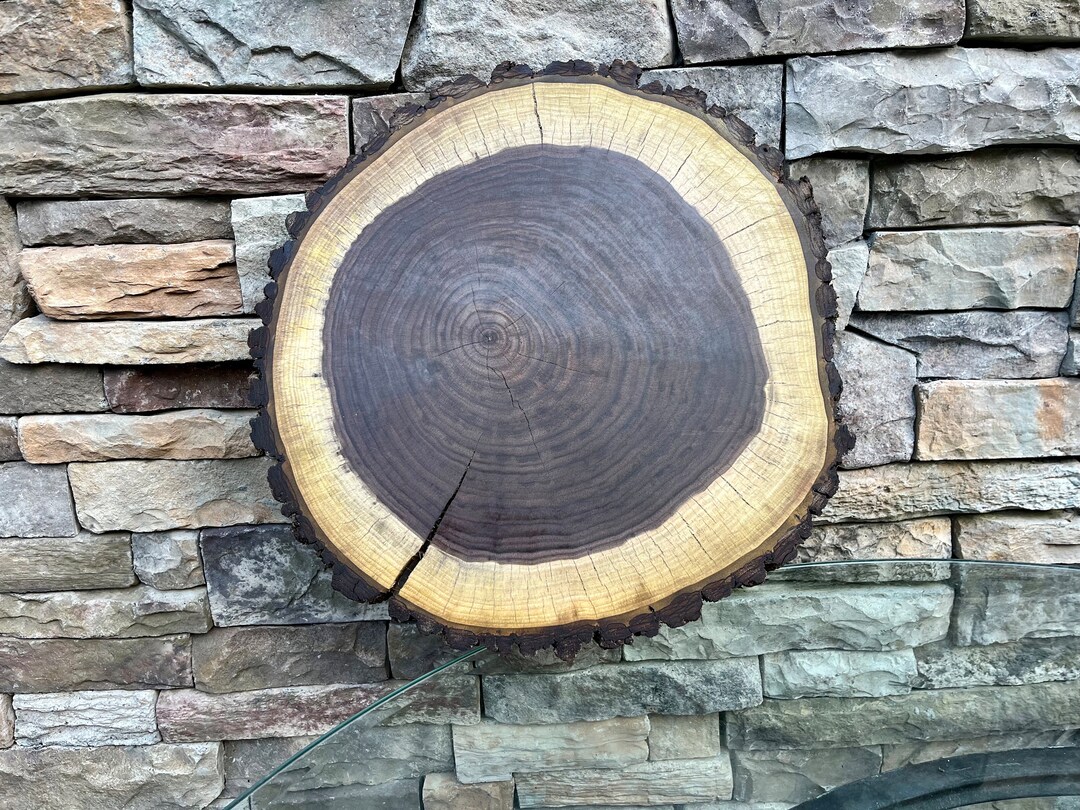Black Walnut Wood Cookie. Large 18-20x2in Unique Grain and Color. - Etsy