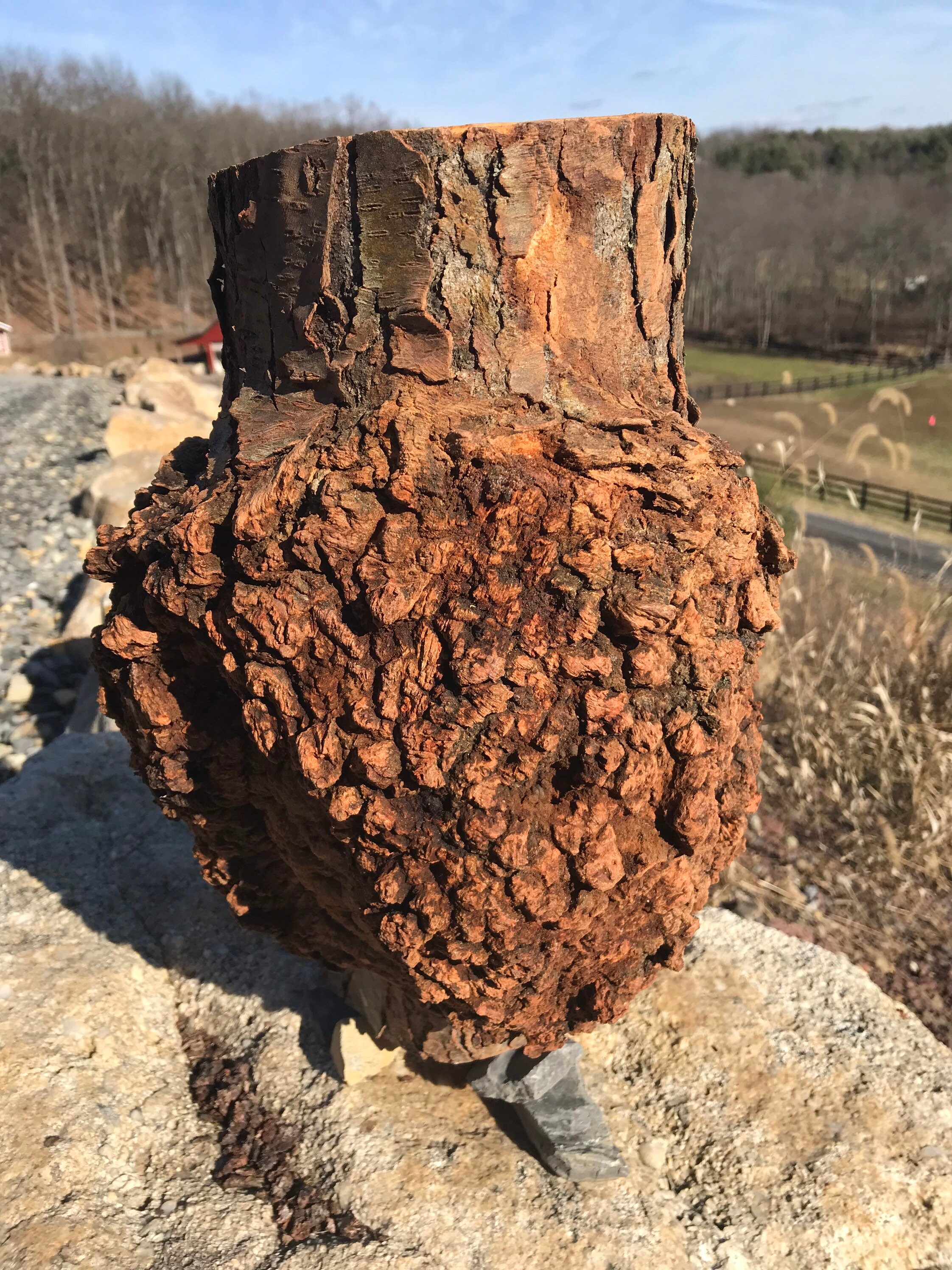 Walnut Burl Slab - Etsy