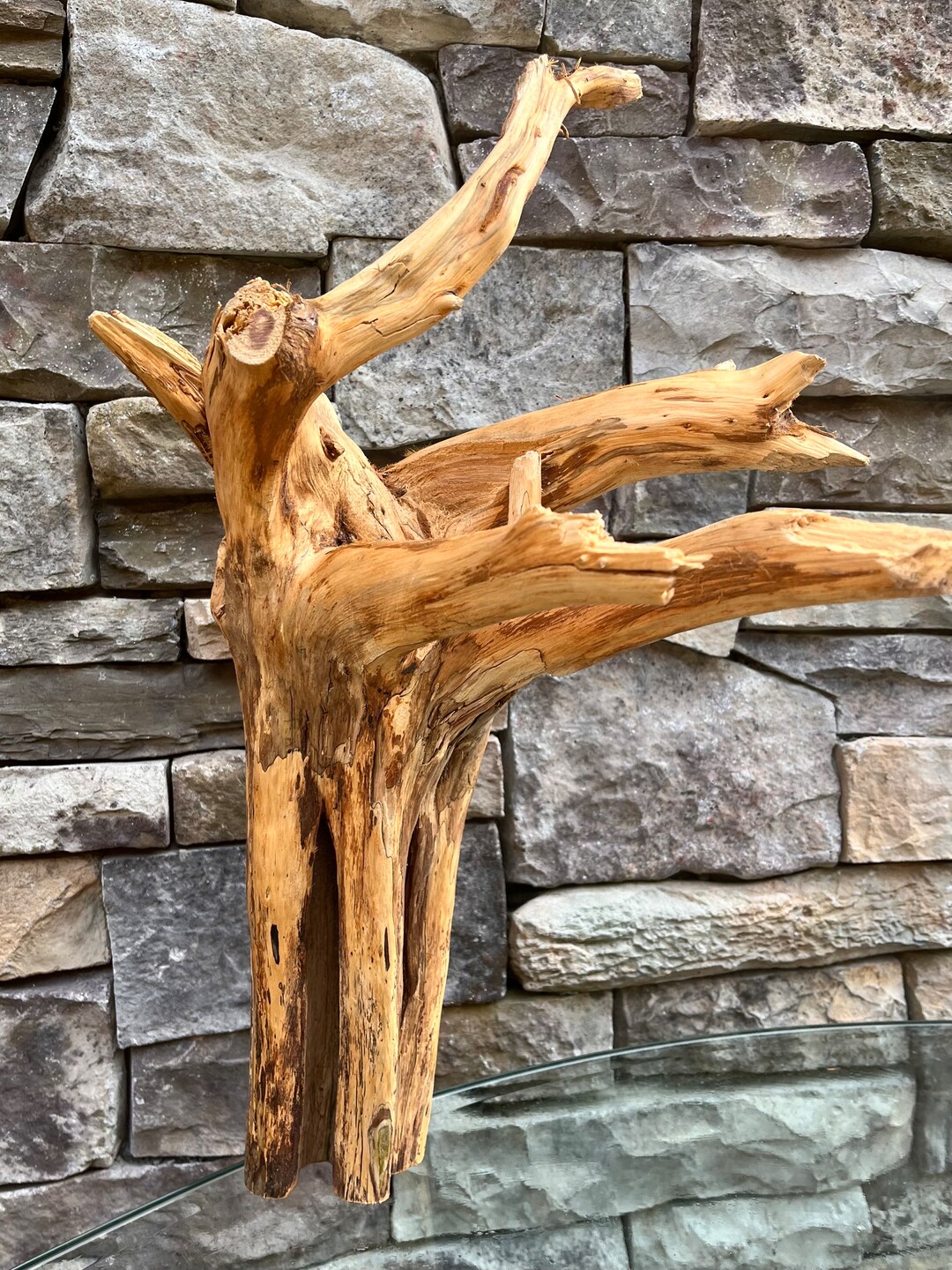 Cedar Tree Root Sculpture Log Stump Piece, Fairy Gardens , Jewelry ...