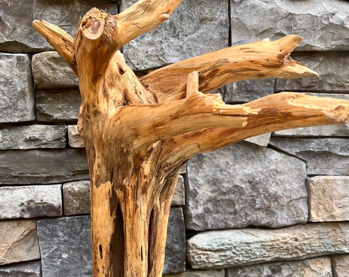 Cedar Tree Root Sculpture Log Stump Piece, Fairy Gardens , Jewelry ...