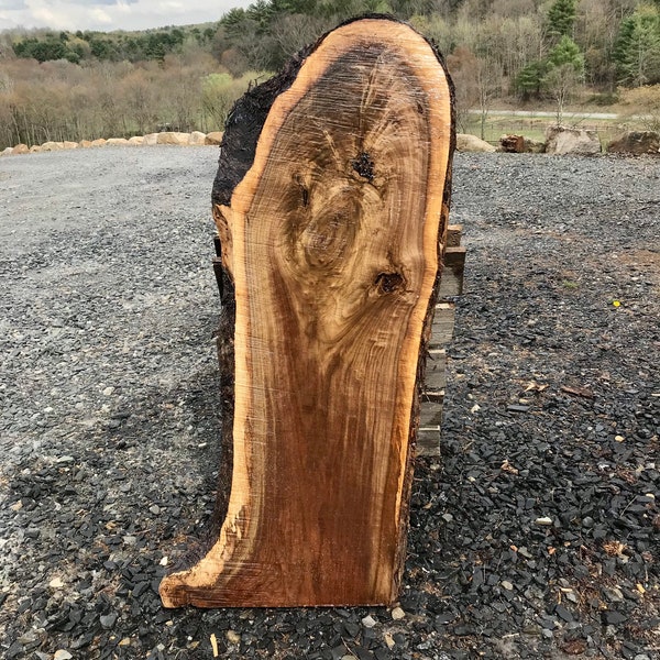 Black Walnut Live Edge Slab - Etsy