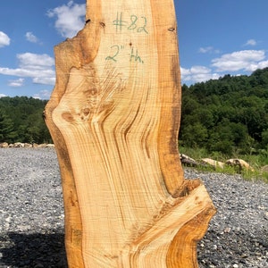 Eastern White Pine Live Edge Wood Slab 58” X 16-24” X 2" Thick, #82 - Etsy