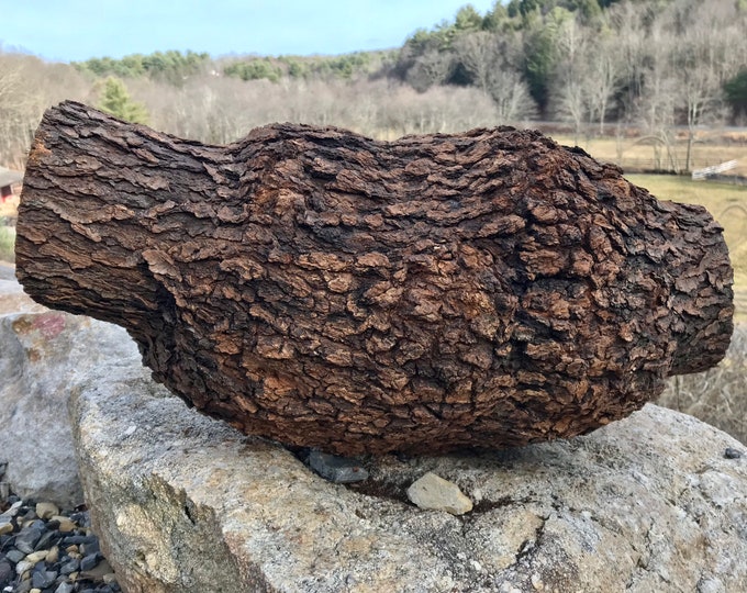 BIG Whole Burl 54 Lbs Wild Cherry Whole Wood Burl #17 - Etsy