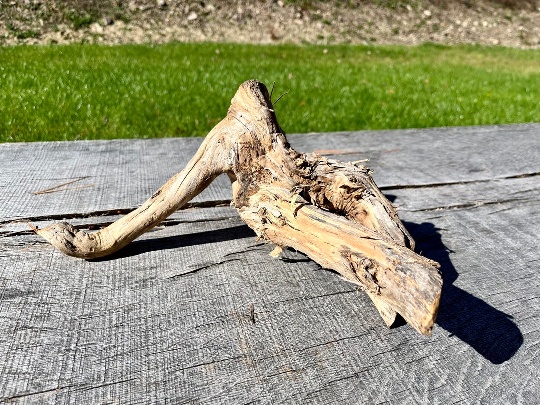 Tree Root Sculpture Log Branch Stump Piece , Fairy Gardens , Jewelry ...