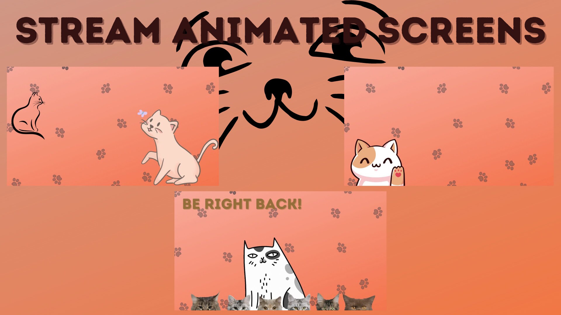 Cats Stream Overlay Theme Start, Brb, End Screen - Etsy