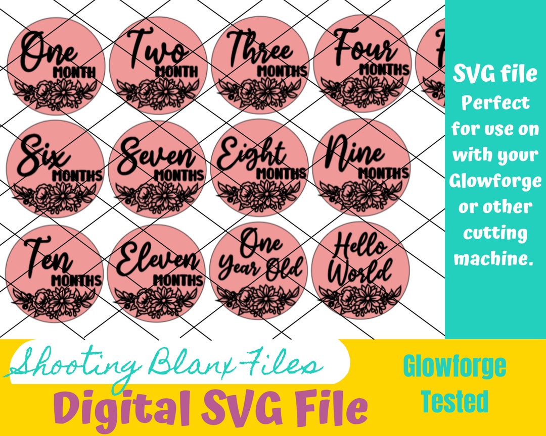 Monthly Milestone Svg, Milestone Discs Svg, Floral Svg, Baby Milestone ...