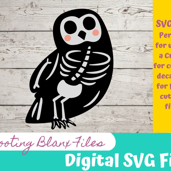 Owl Skeleton - Etsy
