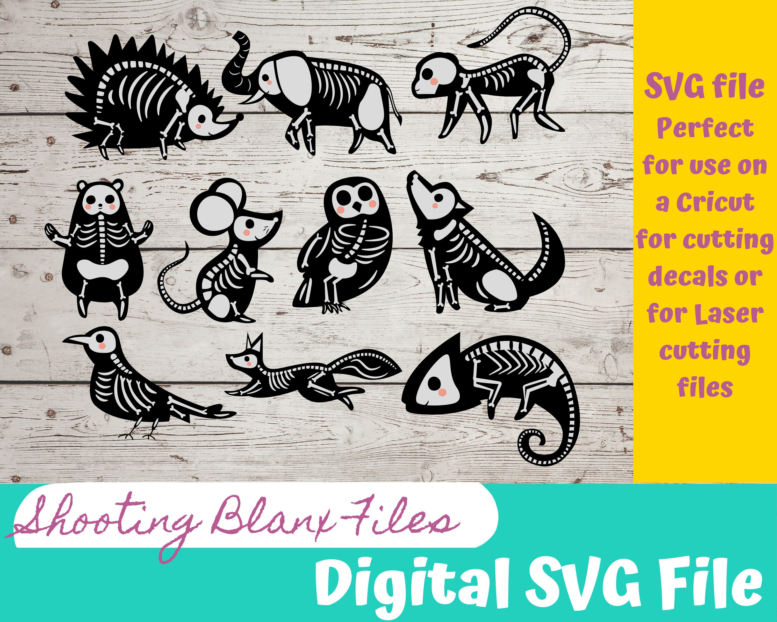 Animal Skeleton 22 SVG Bundle File Perfect for Cricut Cameo - Etsy