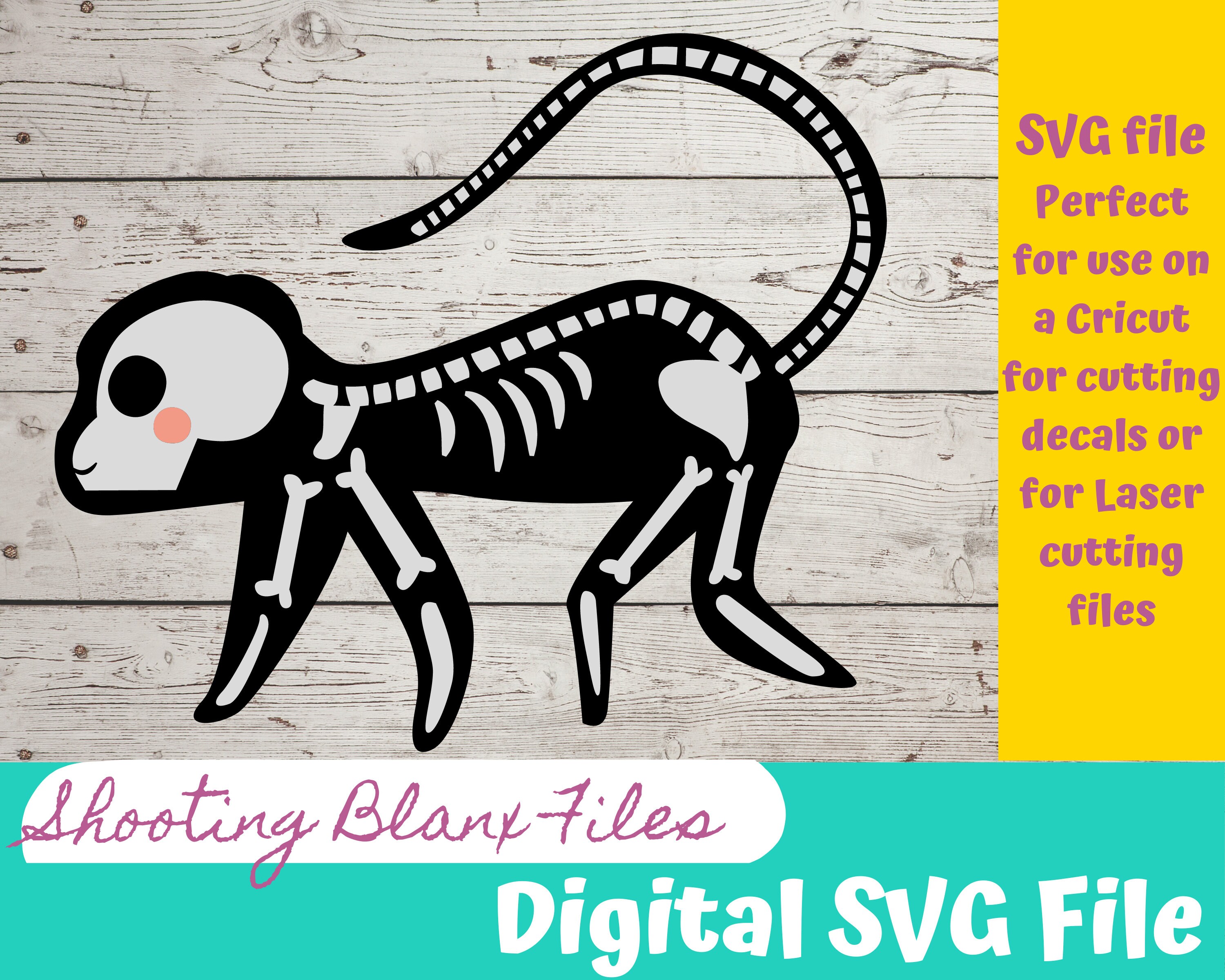 Animal Skeleton 22 SVG Bundle File Perfect for Cricut Cameo - Etsy
