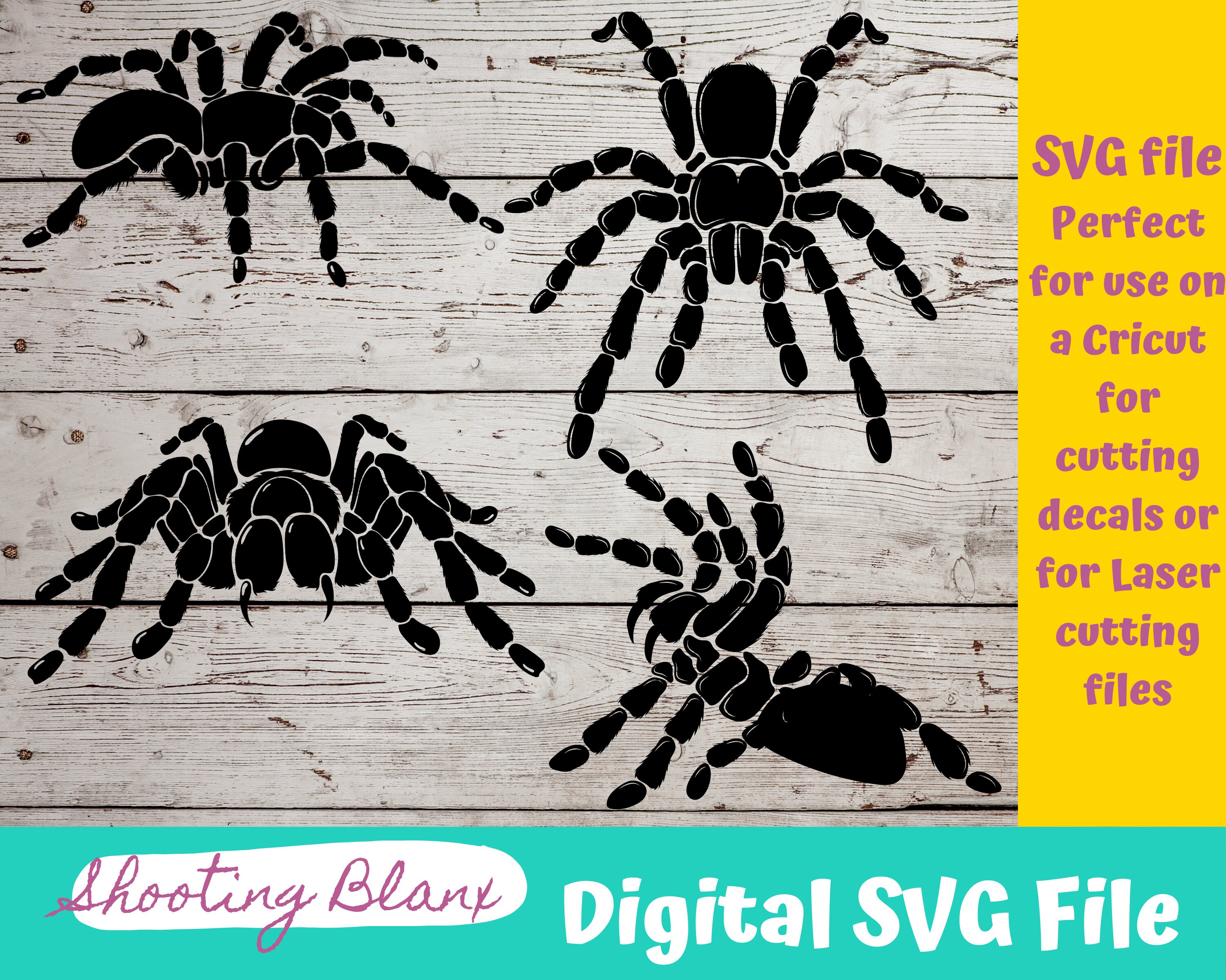 Spider Bundle SVG Files Perfect for Cricut Cameo or - Etsy