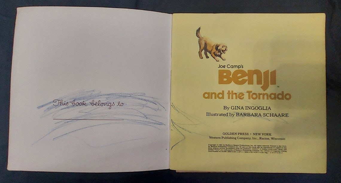 Vintage Joe Camp's Benji and the Tornado by Gina Ingaglia - Etsy