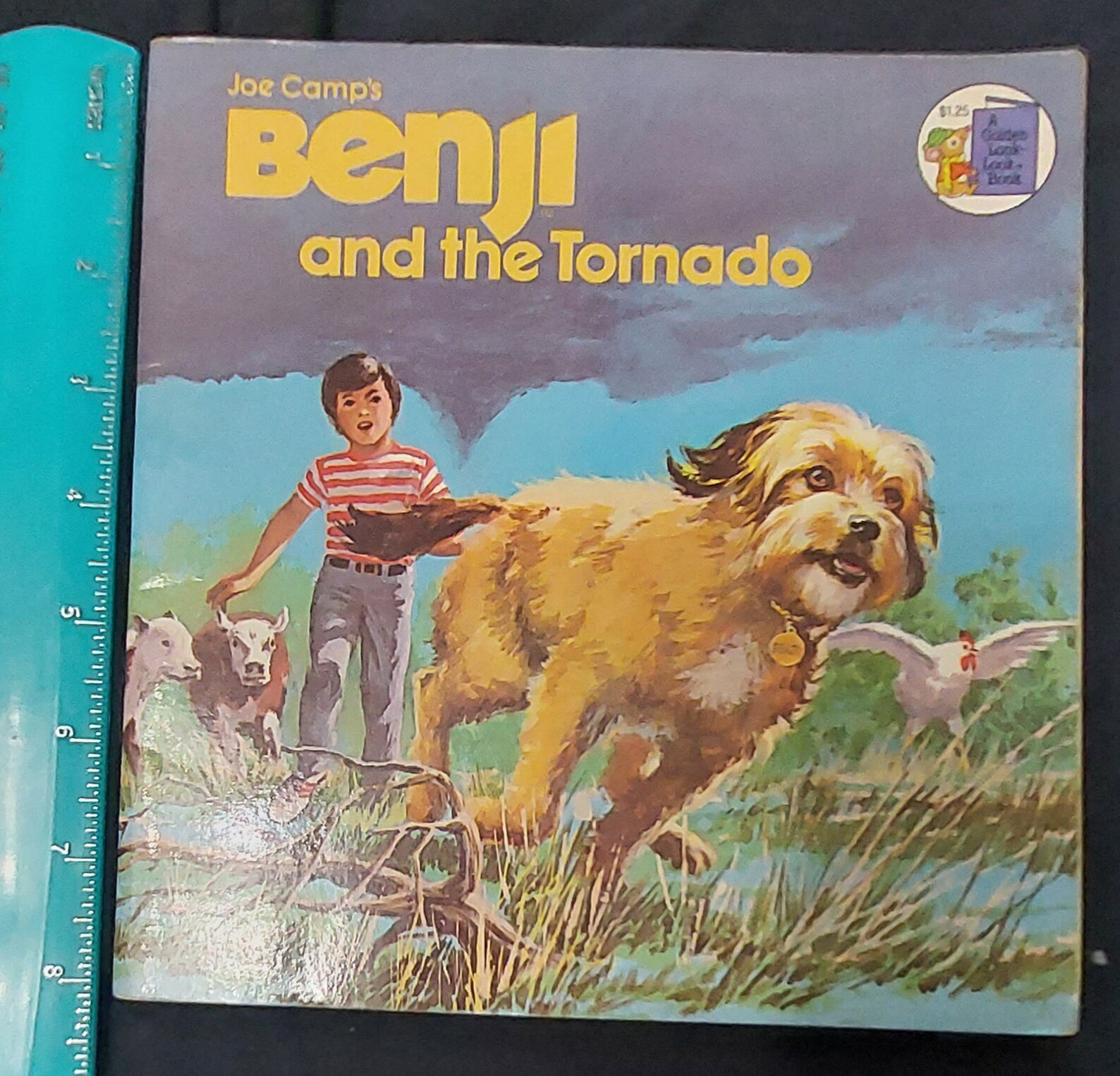 Vintage Joe Camp's Benji and the Tornado by Gina Ingaglia - Etsy