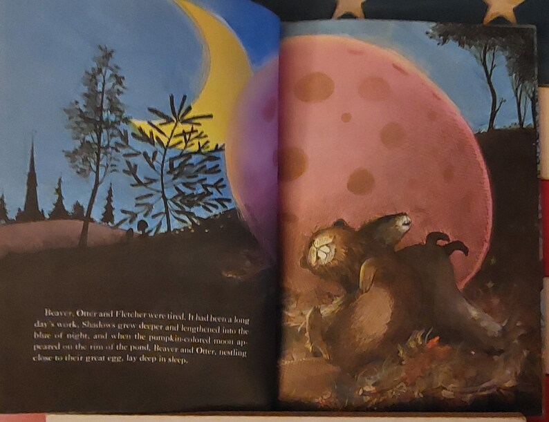 Vntg How Fletcher Was Hatched Ex Library Hard Cover Children's Book - Etsy