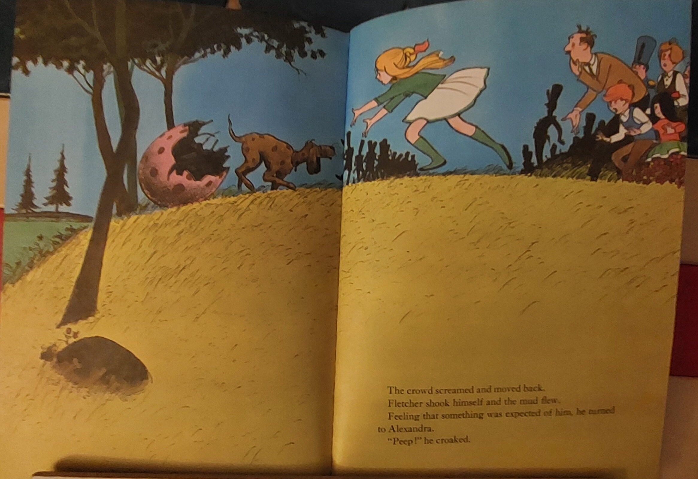 Vntg How Fletcher Was Hatched Ex Library Hard Cover Children's Book - Etsy