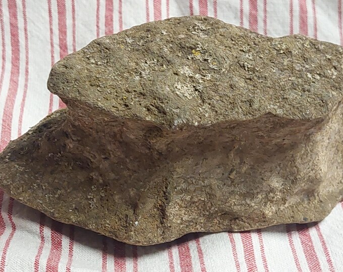 Ancient Native American Indigenous Lenni Lenape Hand Tool Rural ...