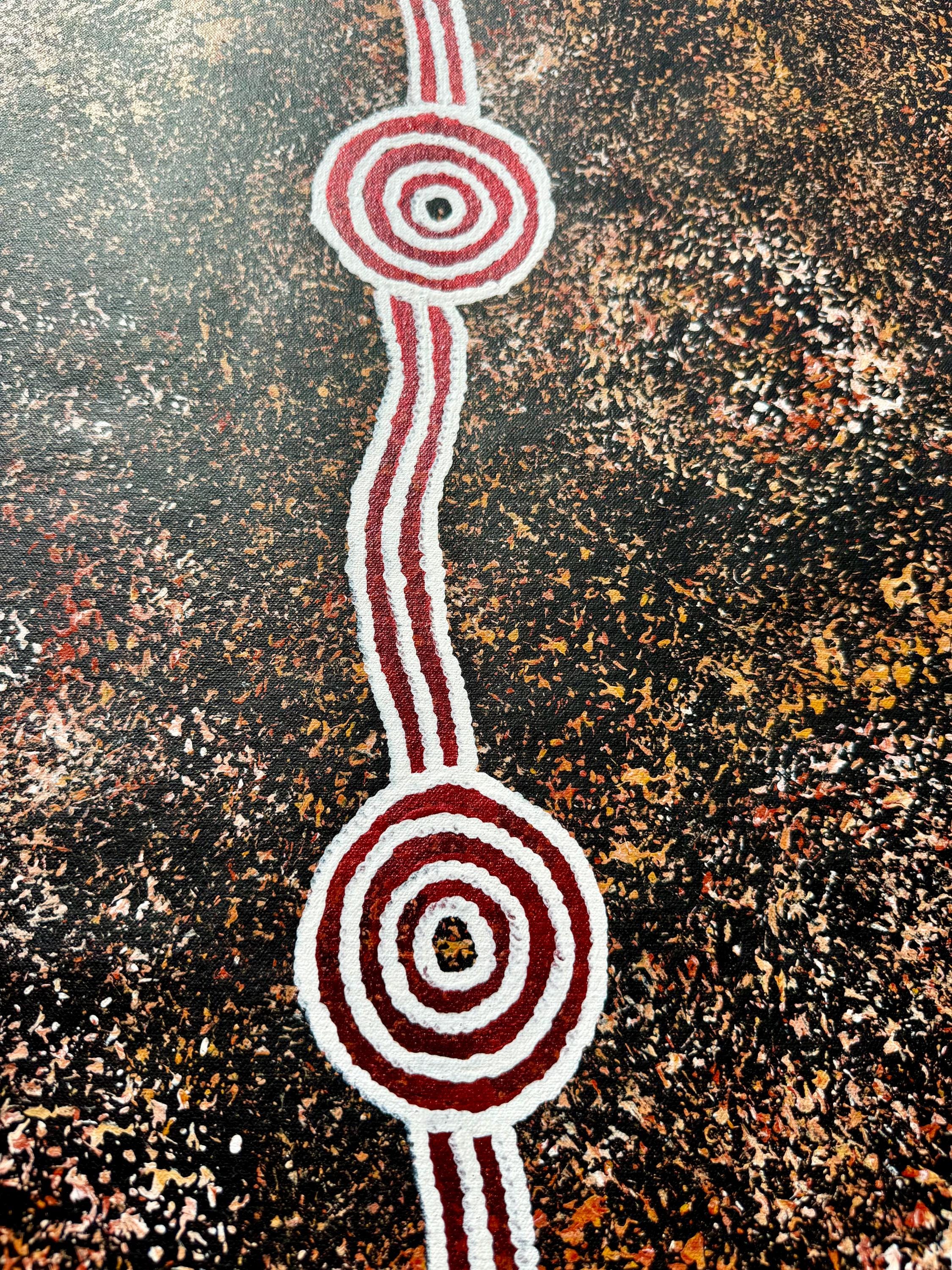 Original Aboriginal Painting: Waterhole Dreaming by Sharon Napanangka ...