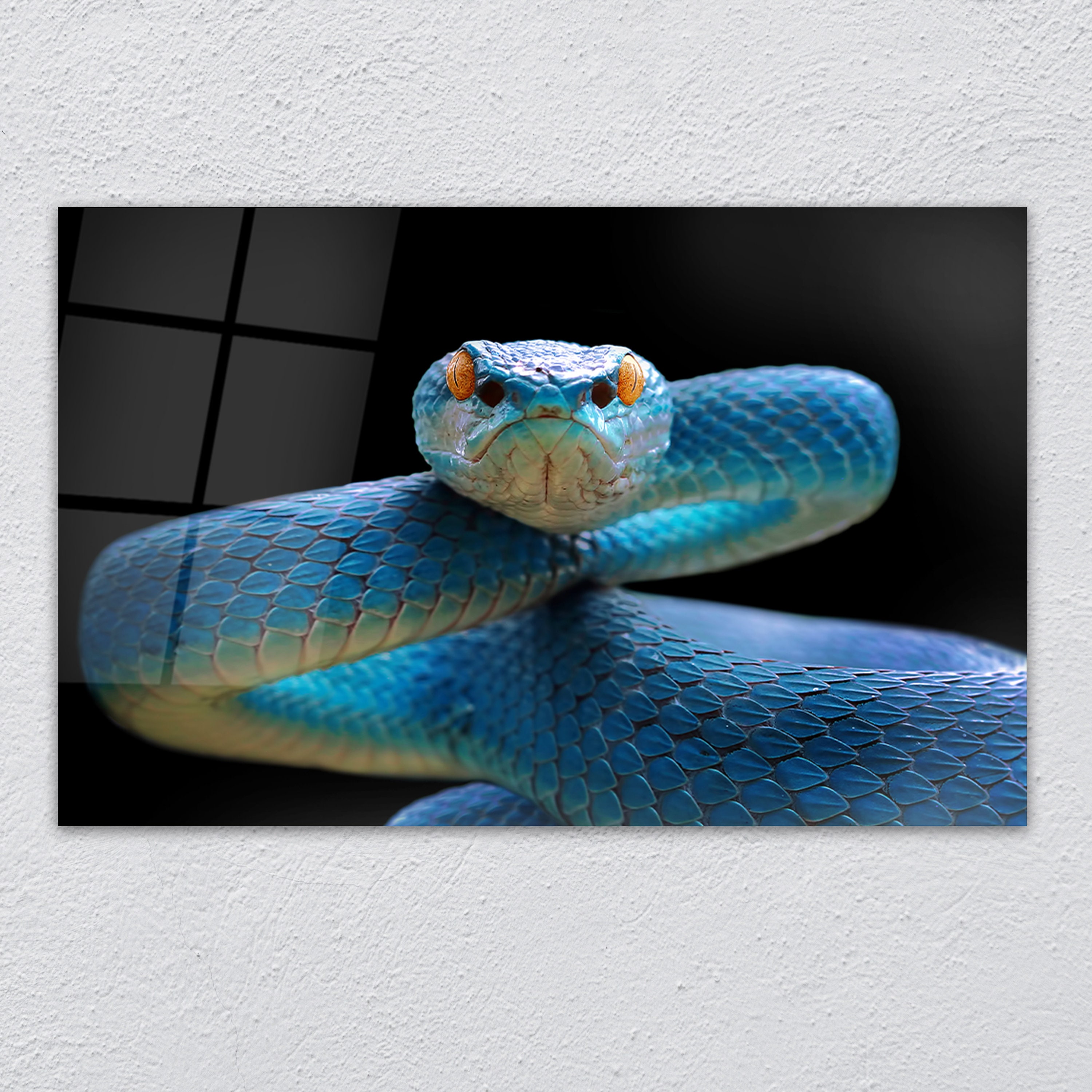 Blue Viper Snake