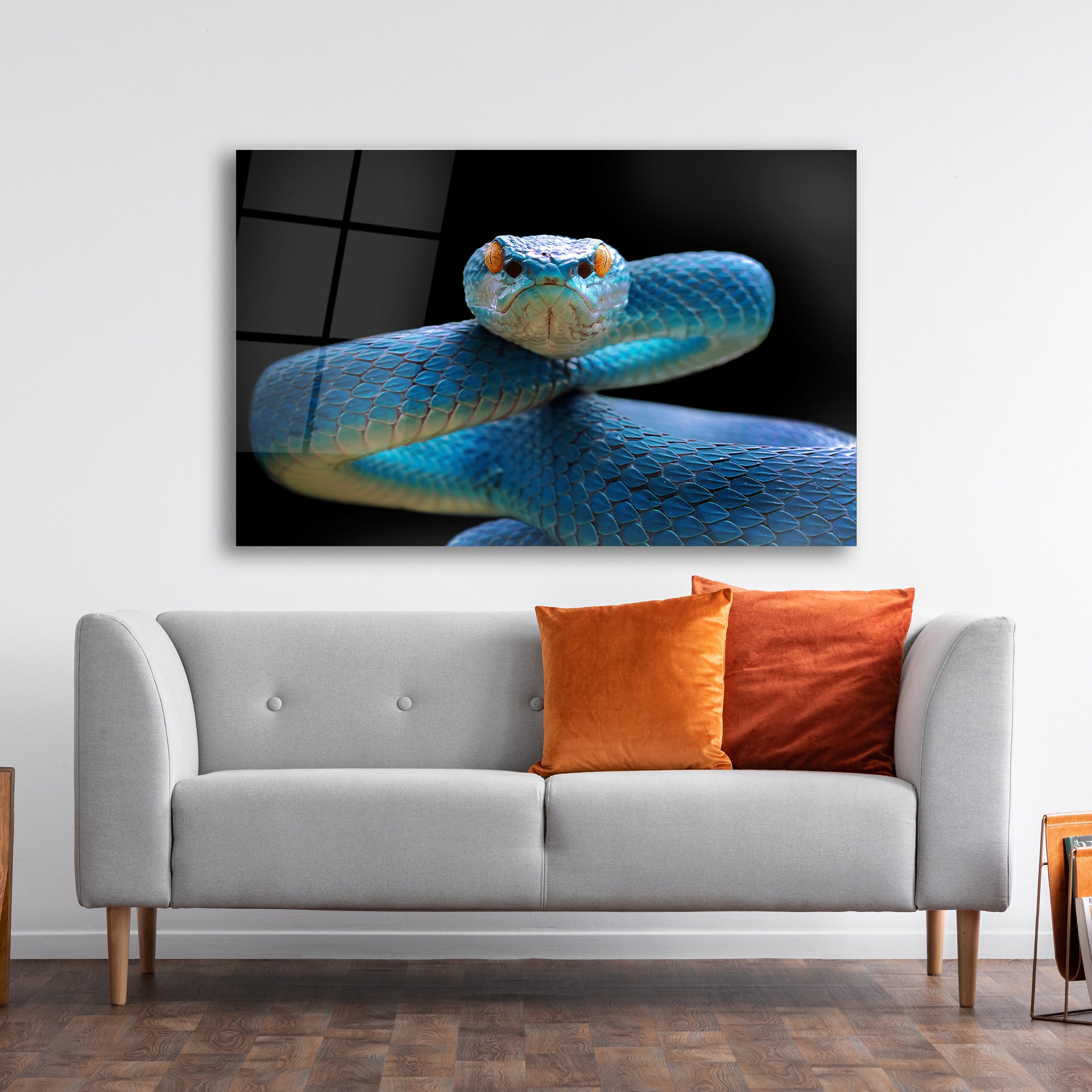 Glass Wall Art Blue Viper Snake Closeup Face, Blue Insularis, Animal ...