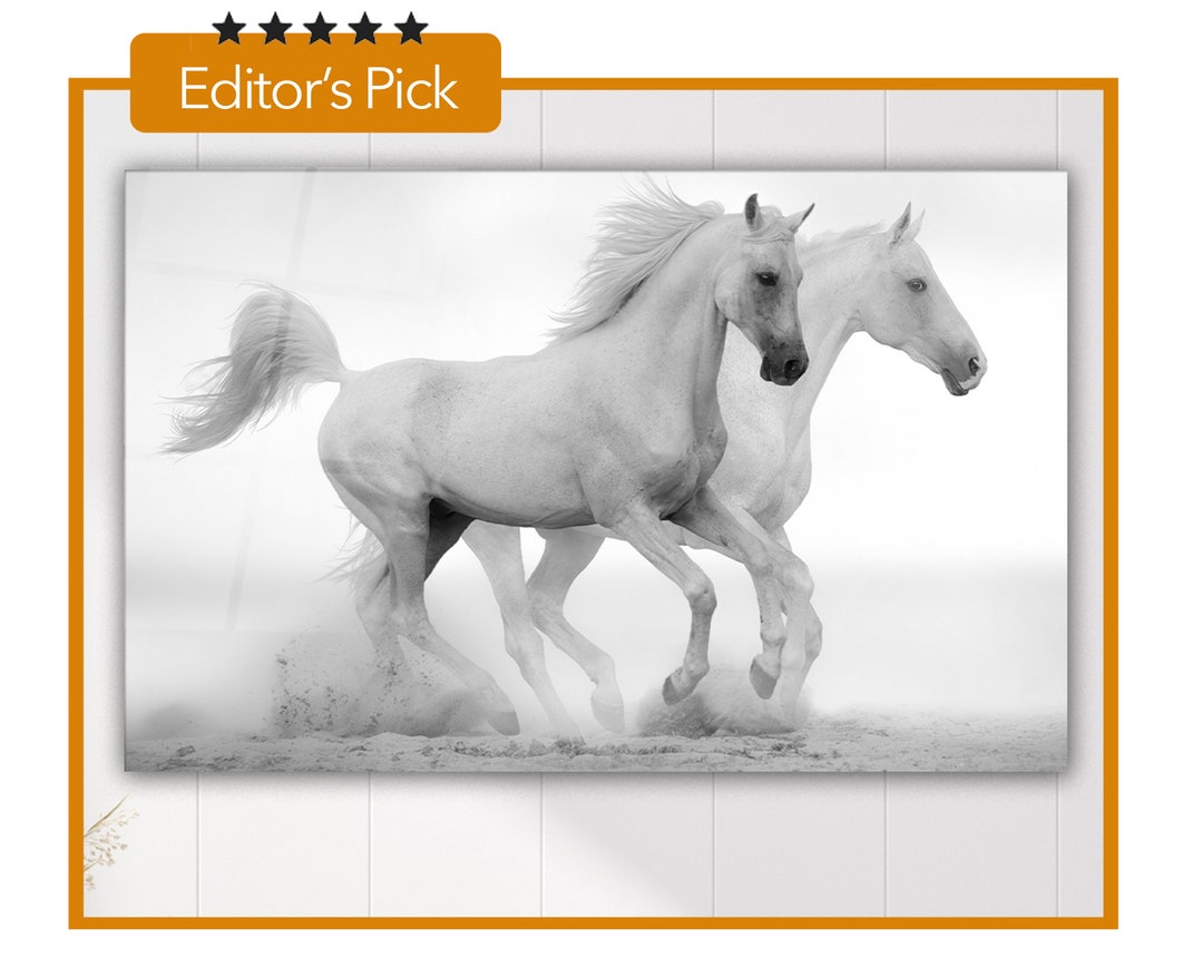 White Stallion Running Gallop - Glass Wall Art - Housewarming Gift ...
