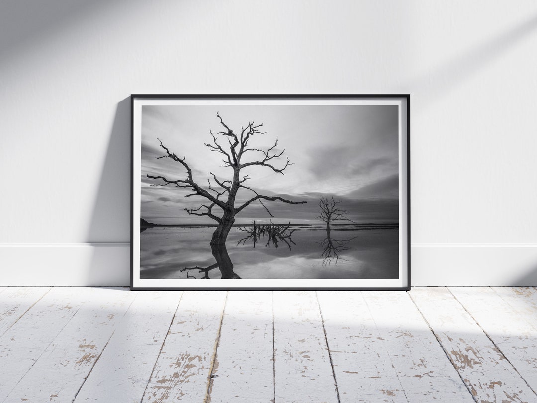 Black and White Trees Flooded Landscape Photography Print/poster of ...