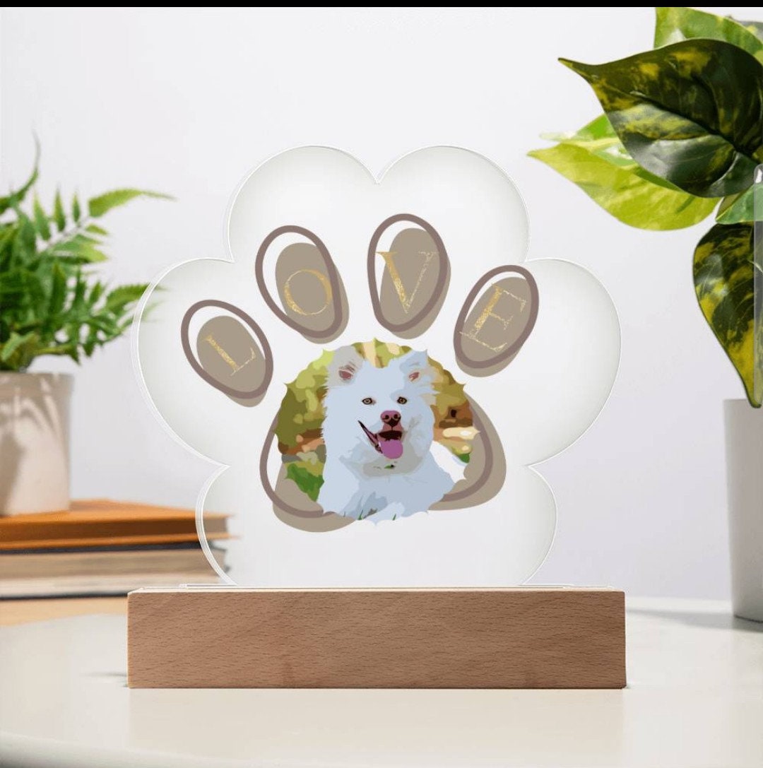 Paw Perfect LED Acrylic Personalized Pet Display - Etsy