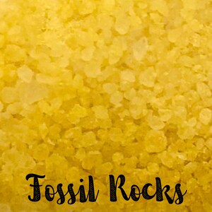 Dinosaur Themed Potion Kit, Potion Making Kit, Potion Kit Kids, Sensory ...