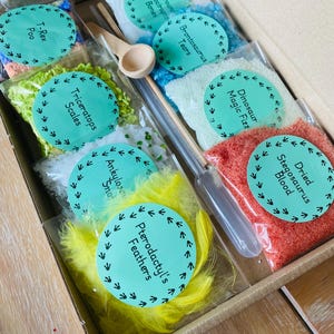 Dinosaur Themed Potion Kit, Potion Making Kit, Potion Kit Kids, Sensory ...