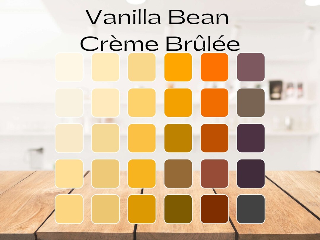 Vanilla Bean Creme Brûlée Color Palette Branding Colors - Etsy